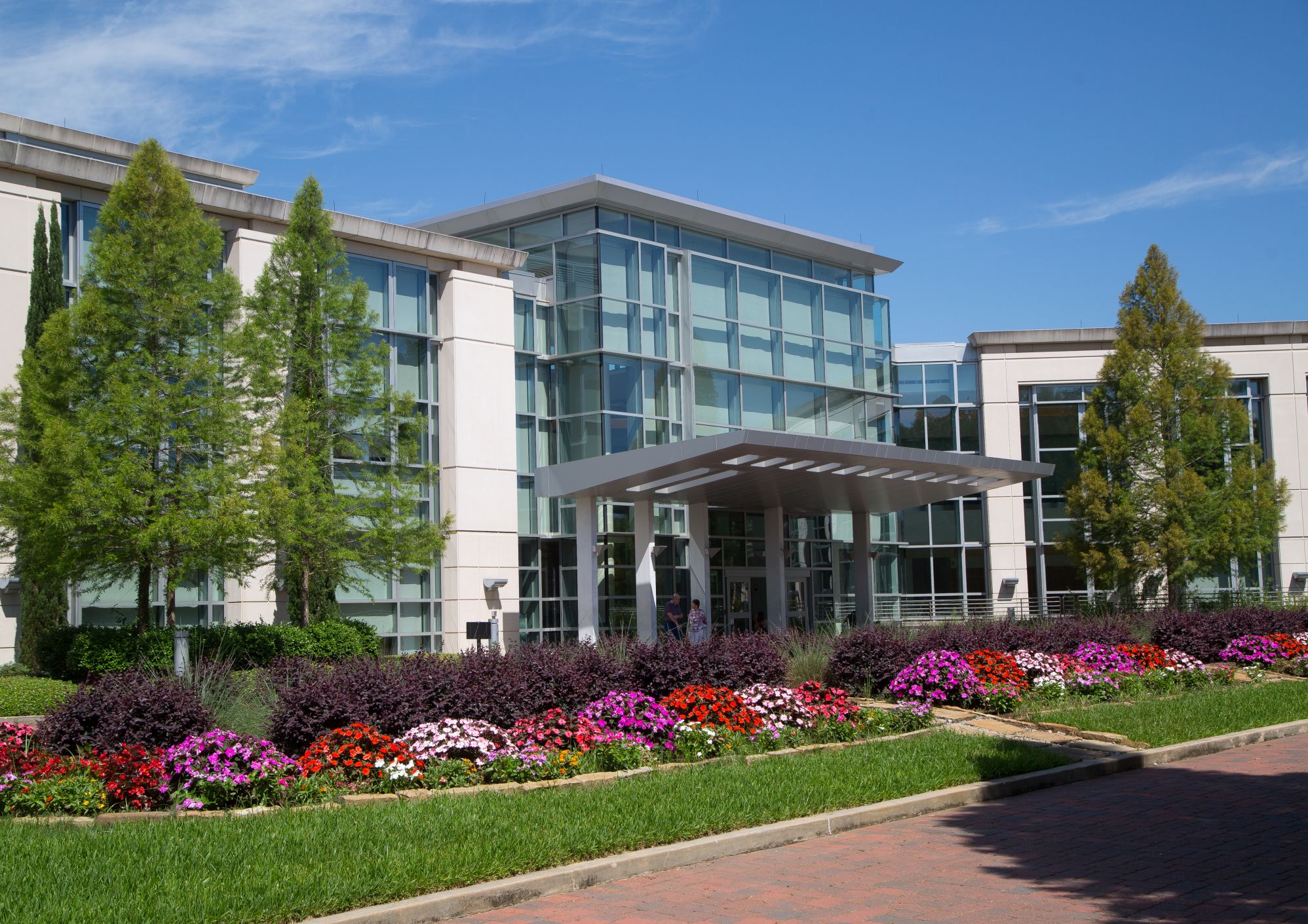 Cancer Care | USA Health