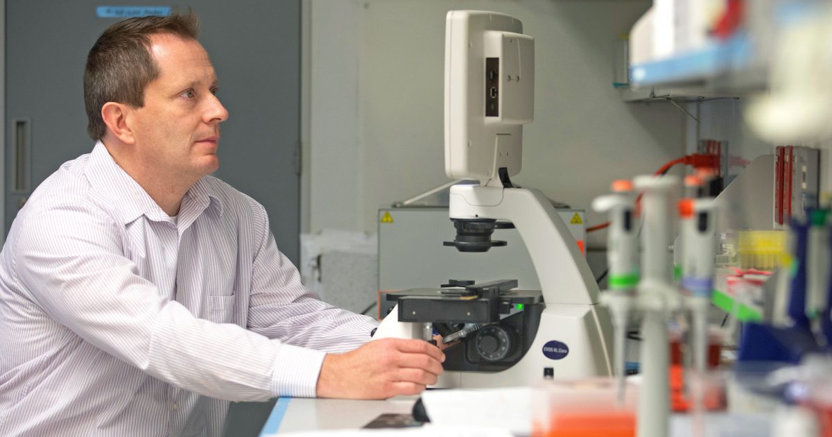 Borchert receives $1 million from National Science Foundation to study ...