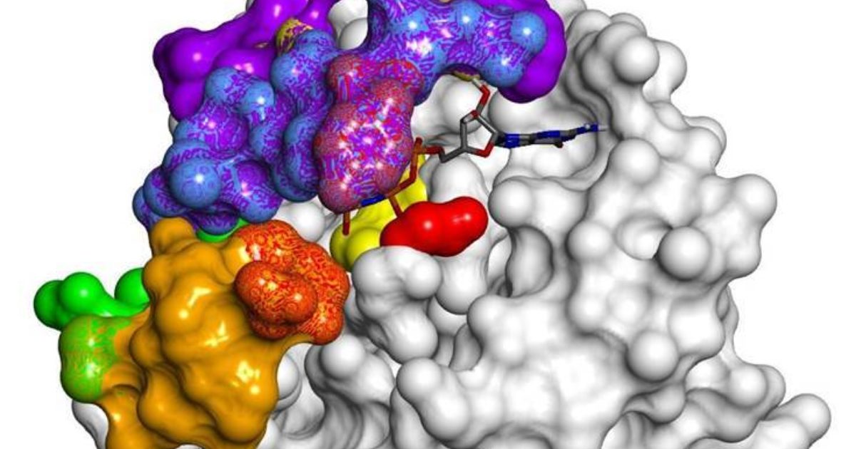 Researchers present findings on anti-cancer compounds discovered at MCI ...