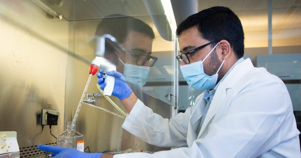 USA scientists find novel mechanism underlying castration-resistant ...