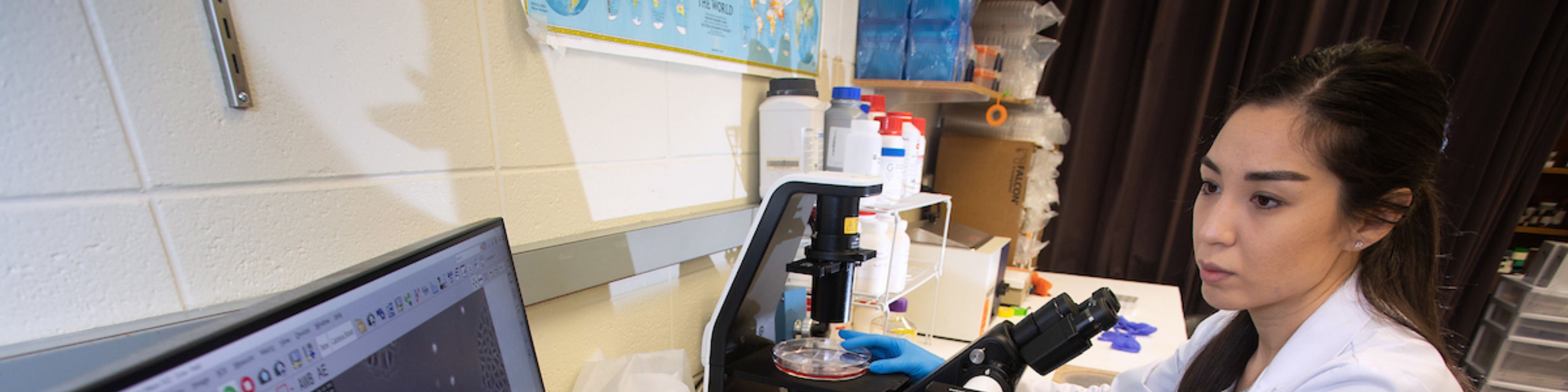 A day in the life of a postdoctoral research fellow | USA Health